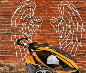 Hiking America - The Ultimate Guide to the American Discovery Trail